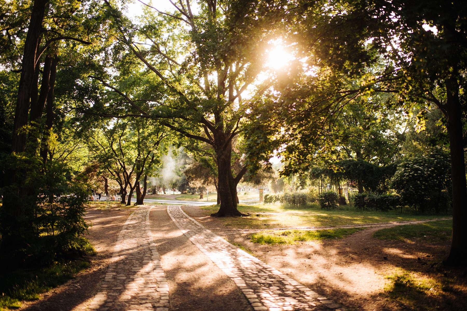 Our Network | SEQUOYA